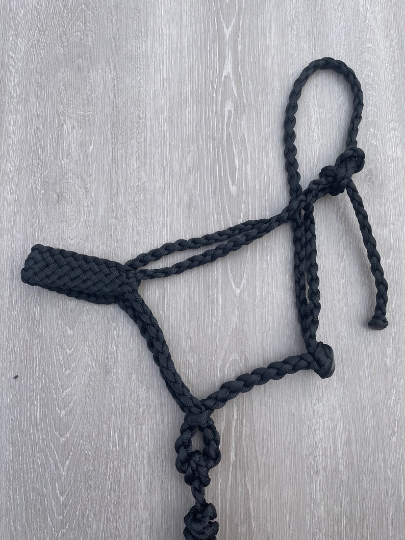 Single Color Mule Tape Halter - Etsy