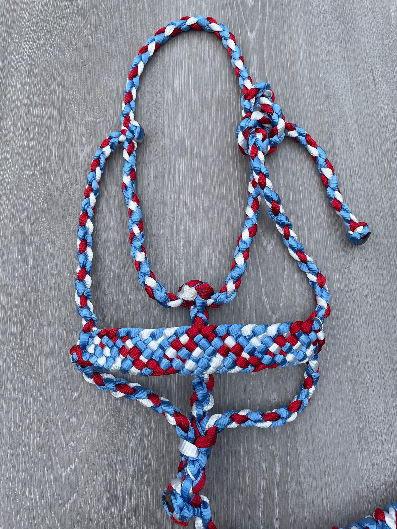 Red, White & Blue Mule Tape Halter - Etsy