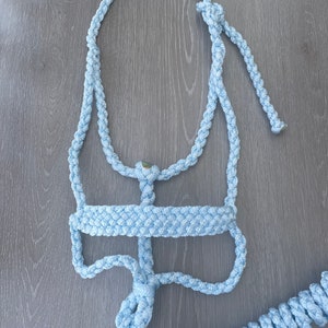 Single Color Mule Tape Halter - Etsy