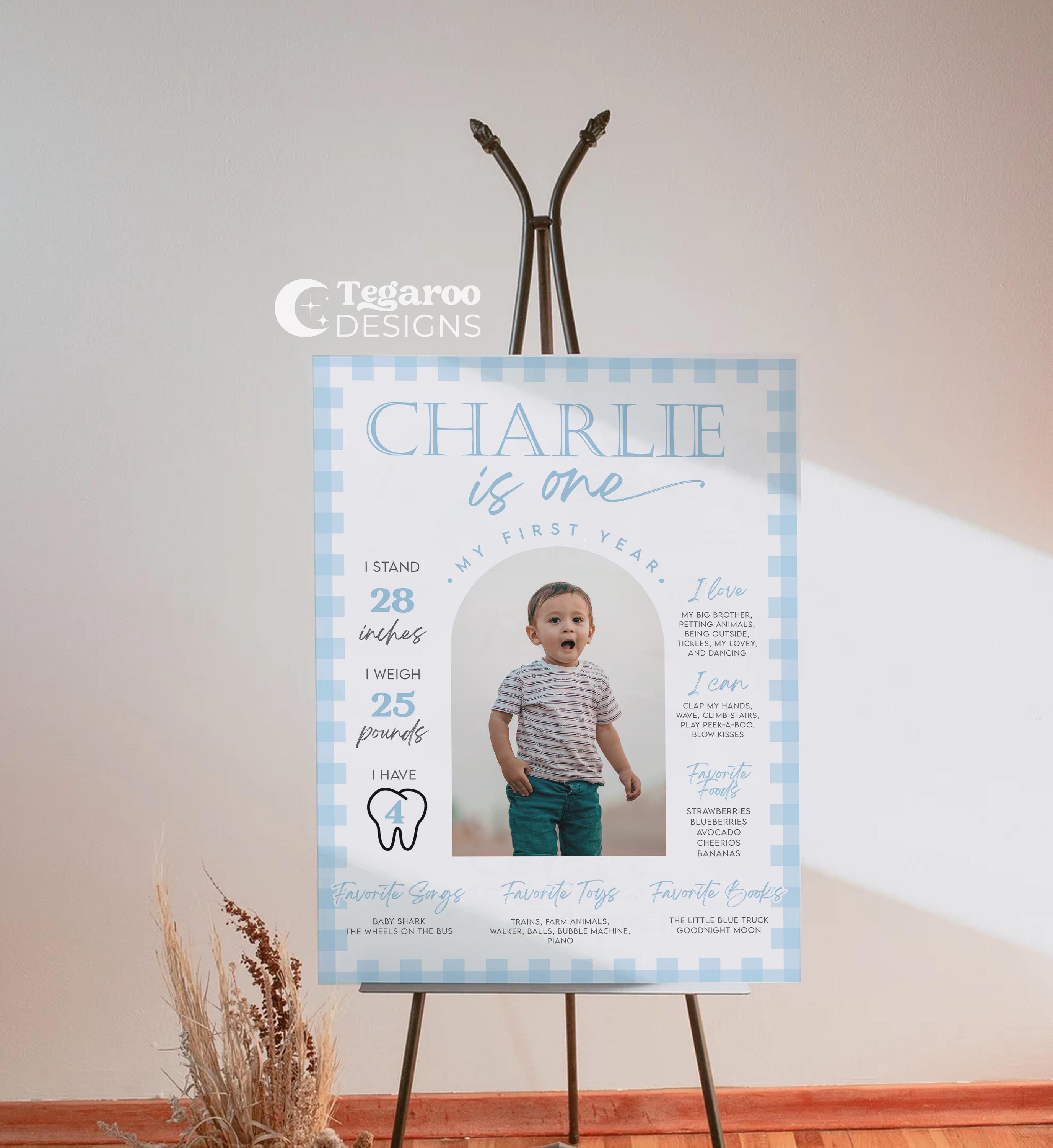 Blue Gingham First Year Photo Banner | Minimalist | 1st Birthday ...