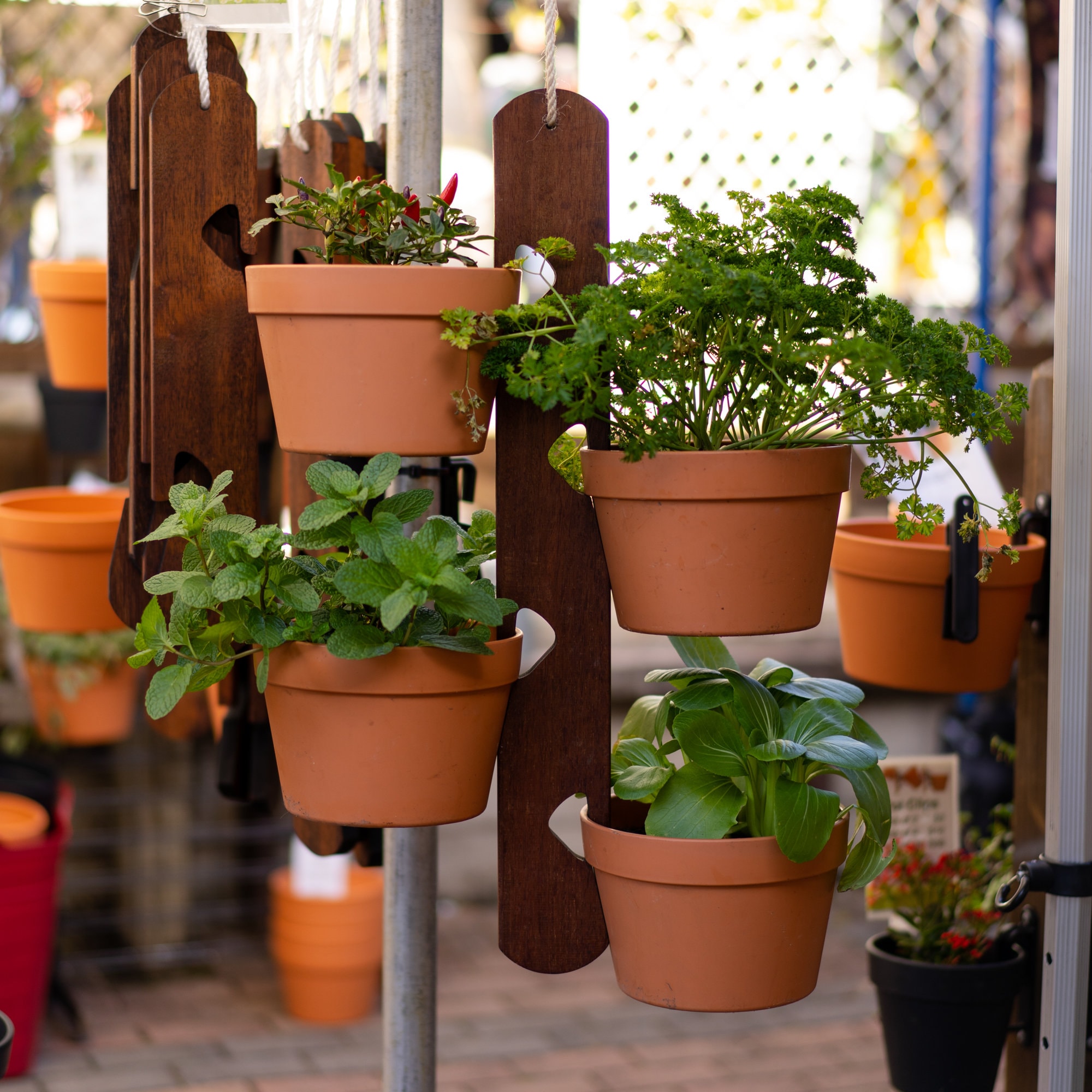 4 Pot Hanger - Etsy Australia