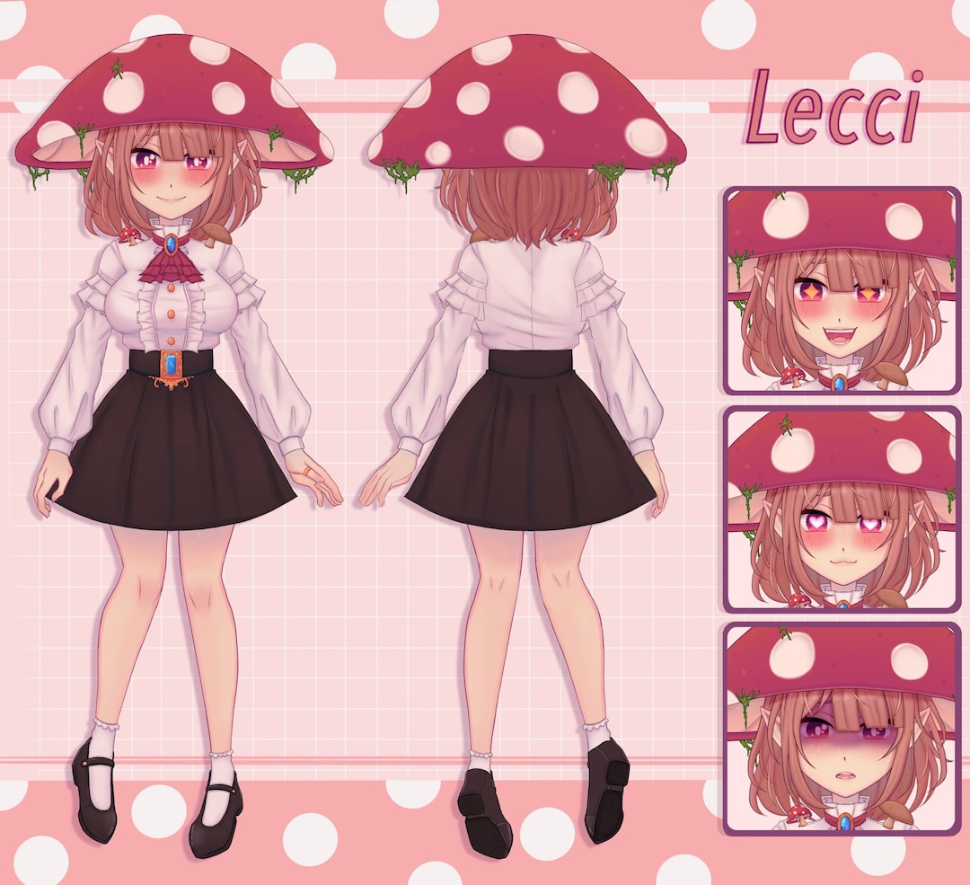 Custom Vtuber Model - Etsy