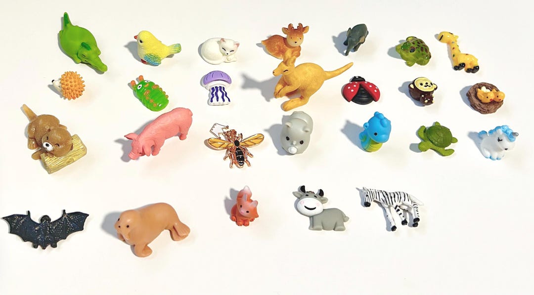 Animal Alphabet ABC Letter Sounds - Phonics - I Spy - Sensory Bin ...