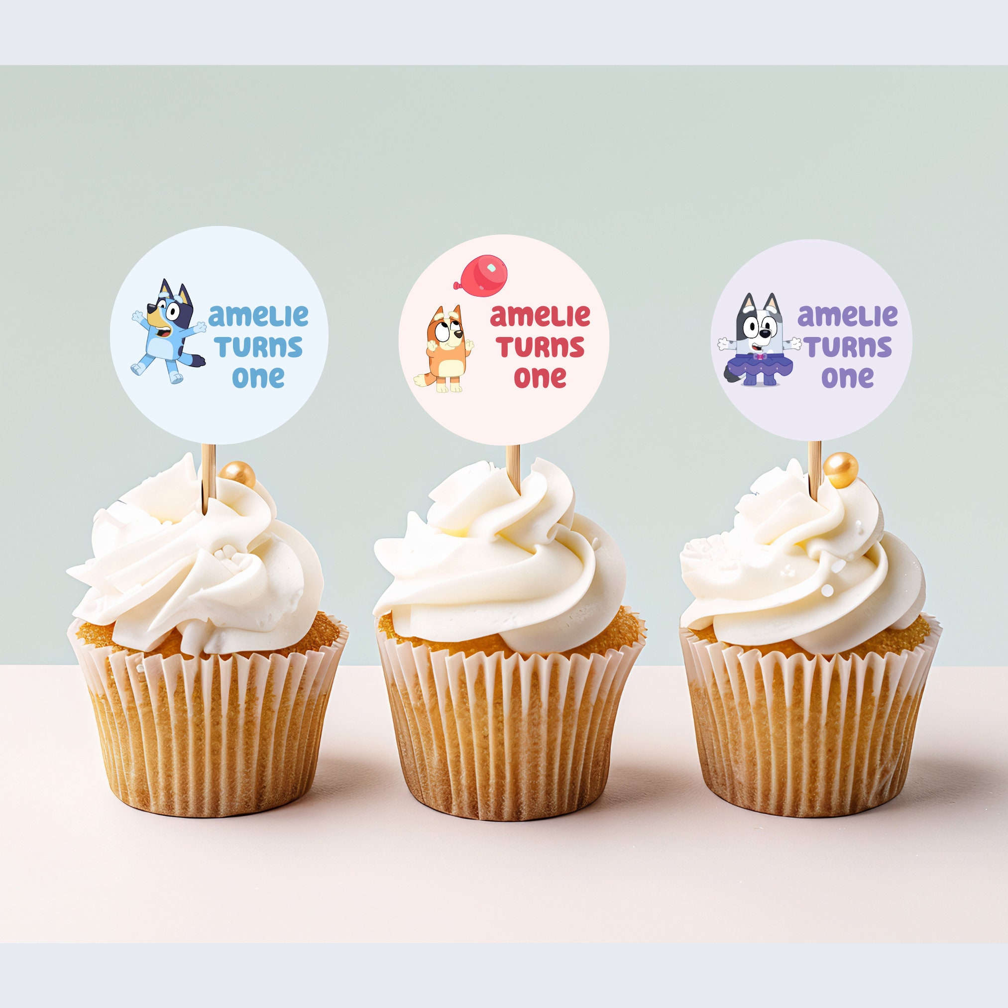 Bluey Birthday Party Cupcake Toppers / Stickers - 24 Characters - Party ...
