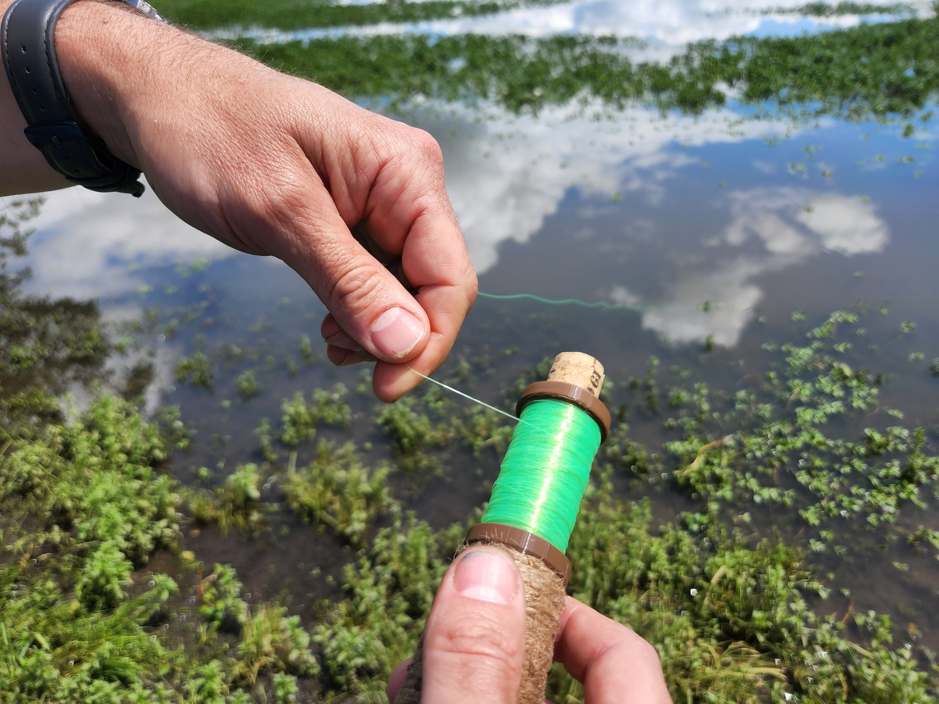 The Fish Stick - Etsy