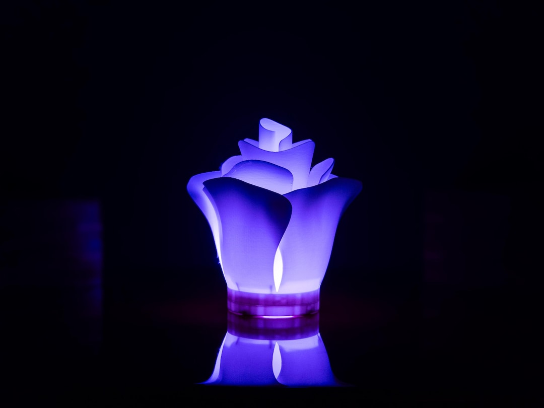 Rose Table Lamp Color Changing With Remote | Soft Glow Lamp | Small ...