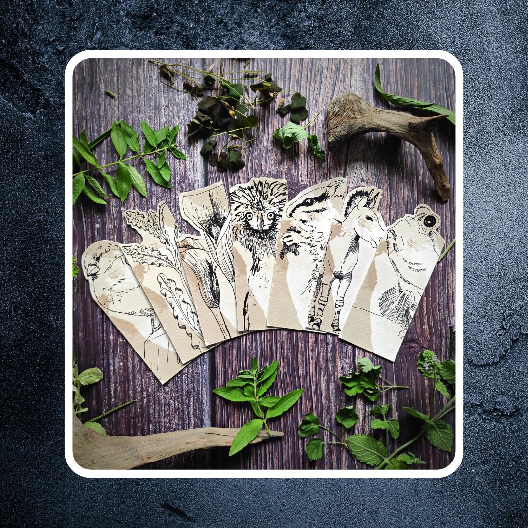 'animals and Plants' Bookmark Set: Hand Drawn Animals - Etsy