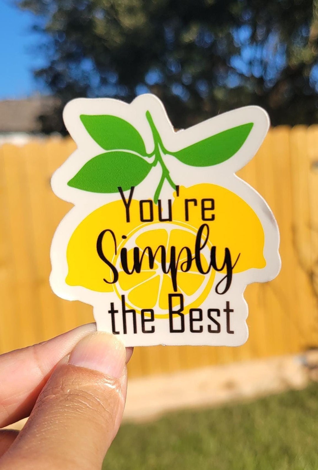 You're Simply the Best Sticker, Motivational Sticker, Self Love Sticker ...