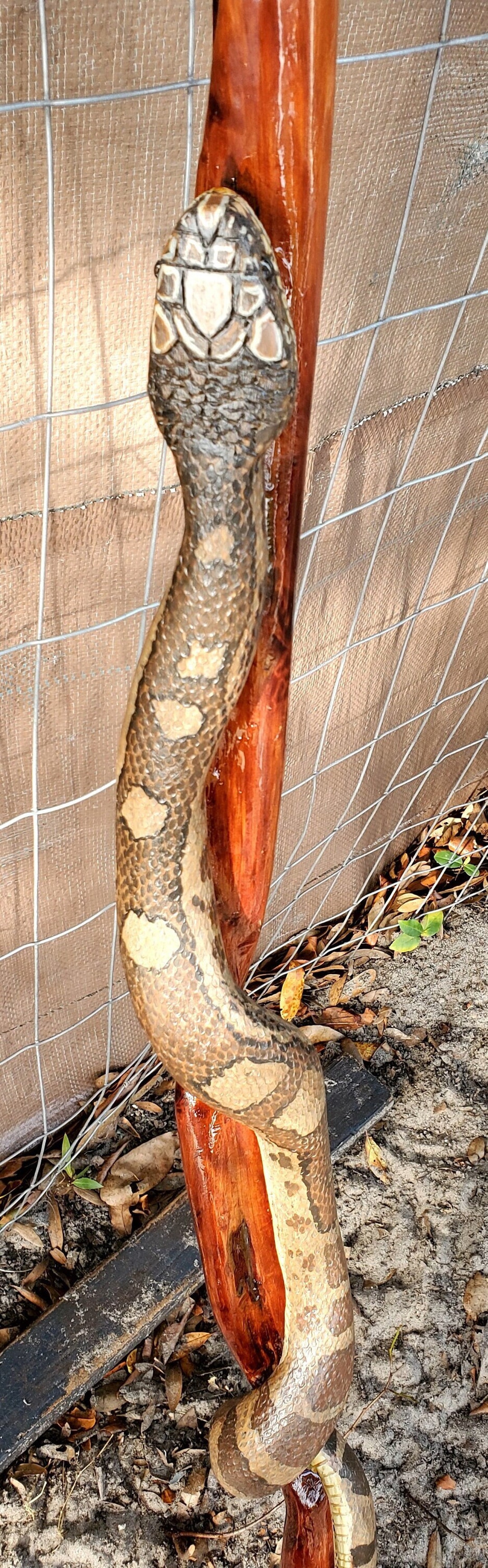 Hand Carved Snake Walking Stick Cane - Etsy