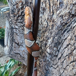Custom Snake Walking Cane - Etsy