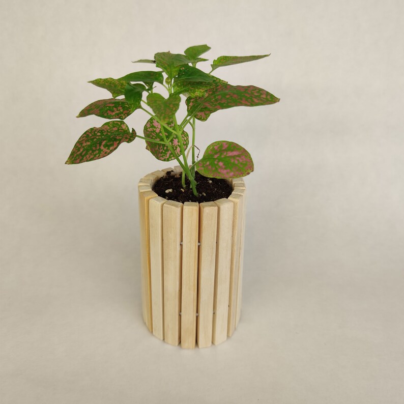 Wooden Plant Pot Cover Handcrafted & Stylish - Etsy Australia