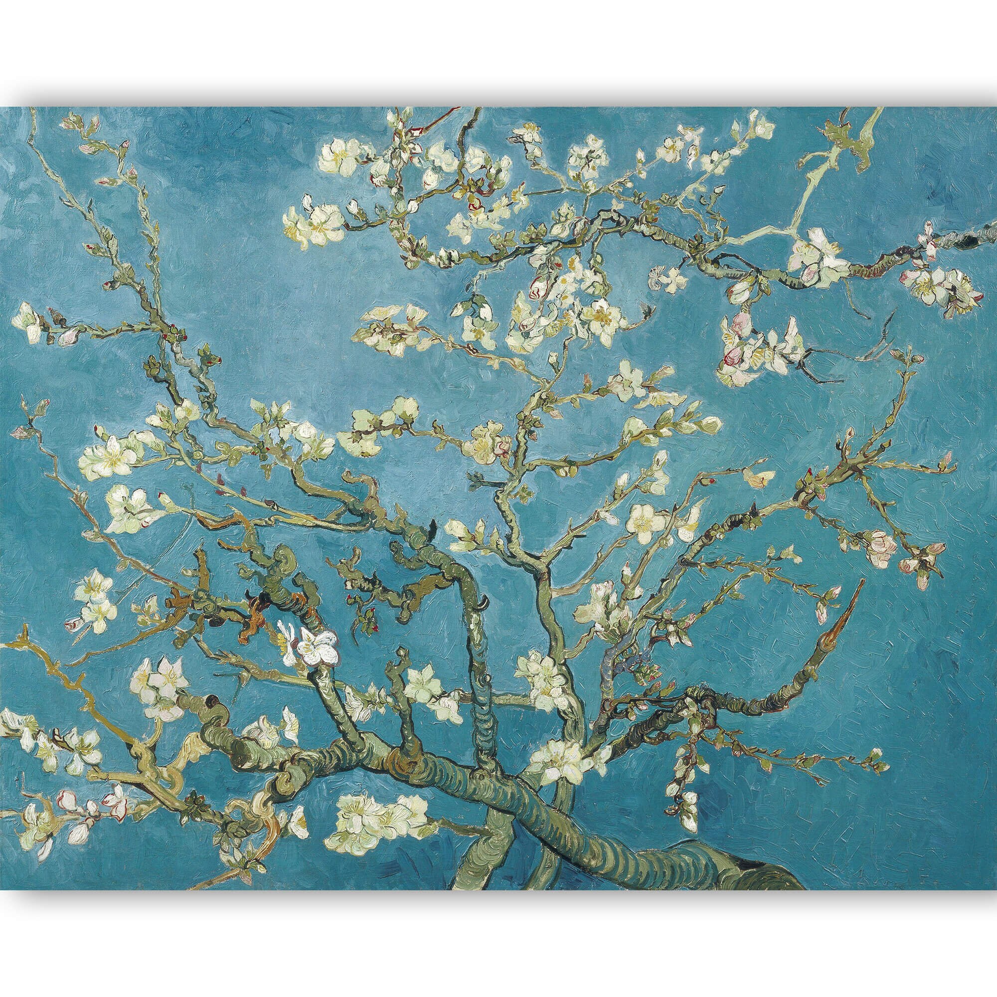 Almond Blossom by Vincent Van Gogh Canvas Print 1890 Fine Art Painting ...