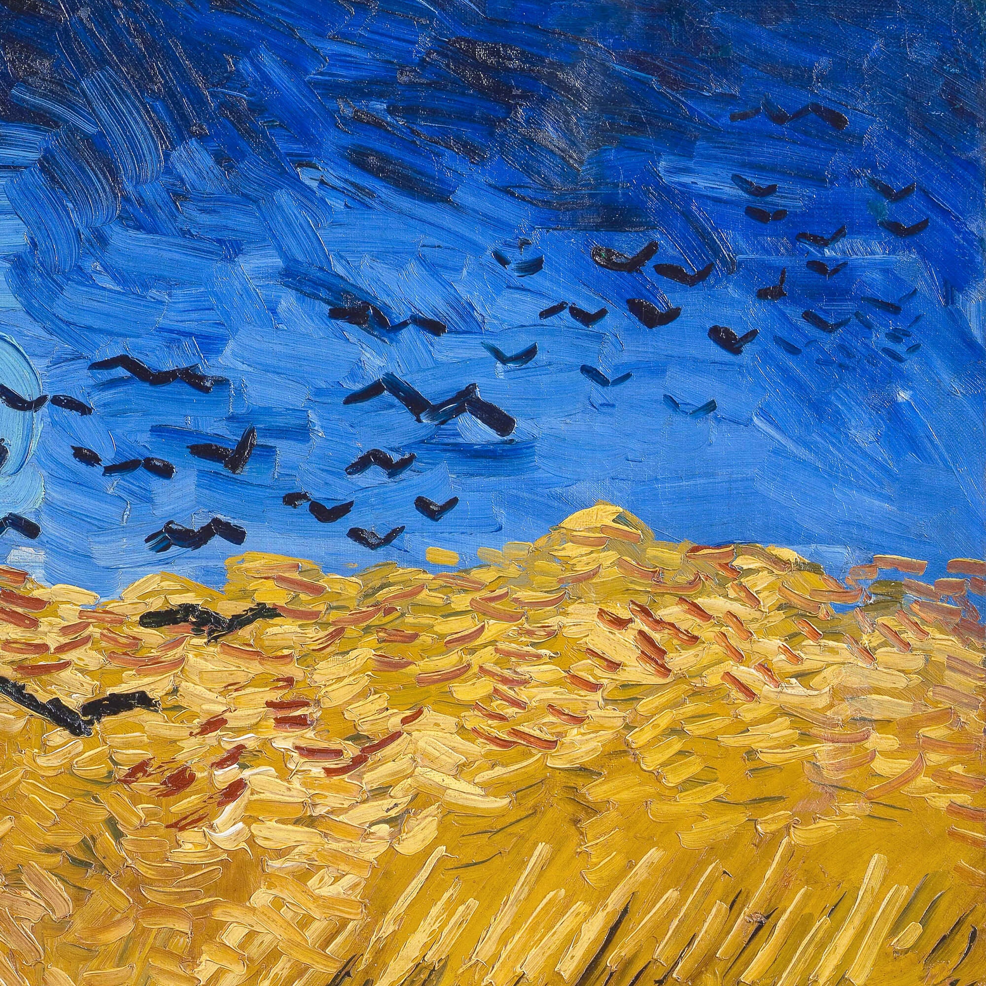 Wheatfield With Crows by Vincent Van Gogh Canvas Print 1890 - Etsy