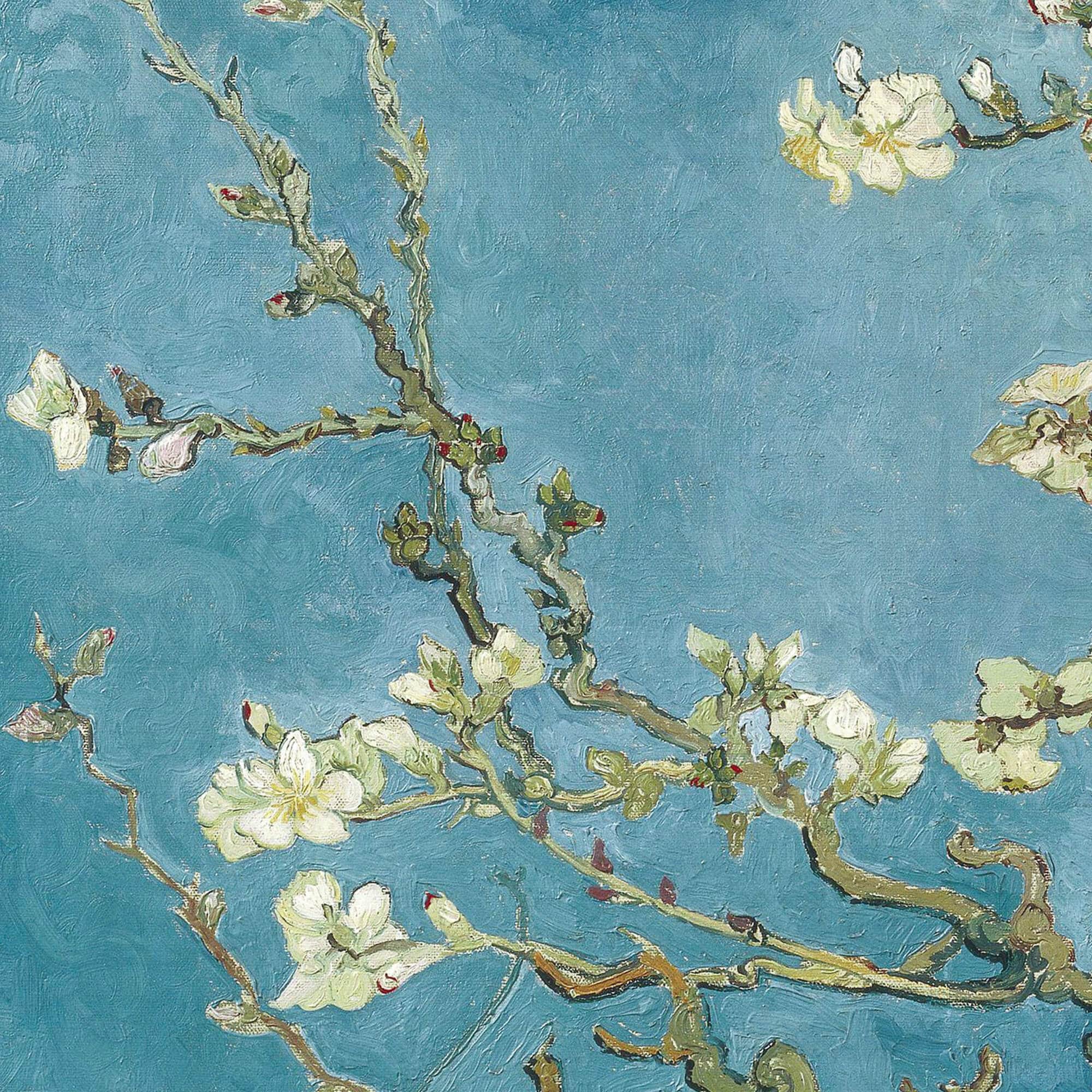 Almond Blossom by Vincent Van Gogh Canvas Print 1890 Fine Art Painting ...