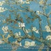 Almond Blossom by Vincent Van Gogh Giclée Canvas Print (1890) • Fine ...