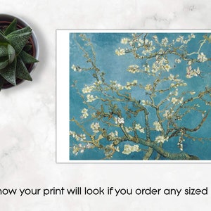Almond Blossom by Vincent Van Gogh Giclée Canvas Print (1890) • Fine ...