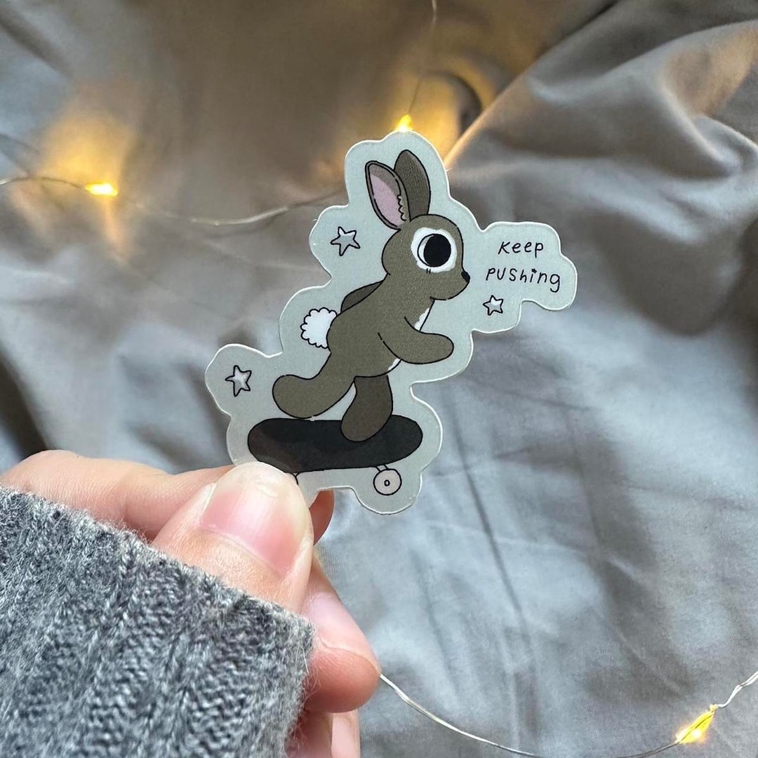 Vinyl Bunny Skater “keep Pushing” Sticker | Stargirllee Water Bottle ...