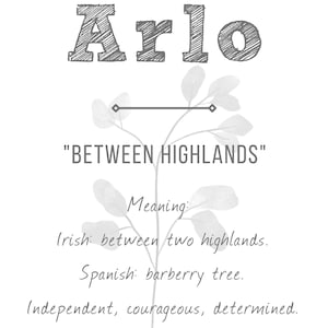 Arlo Baby Name Meaning, Nursery Sign, Boy Names Printable, Nolan Sign ...