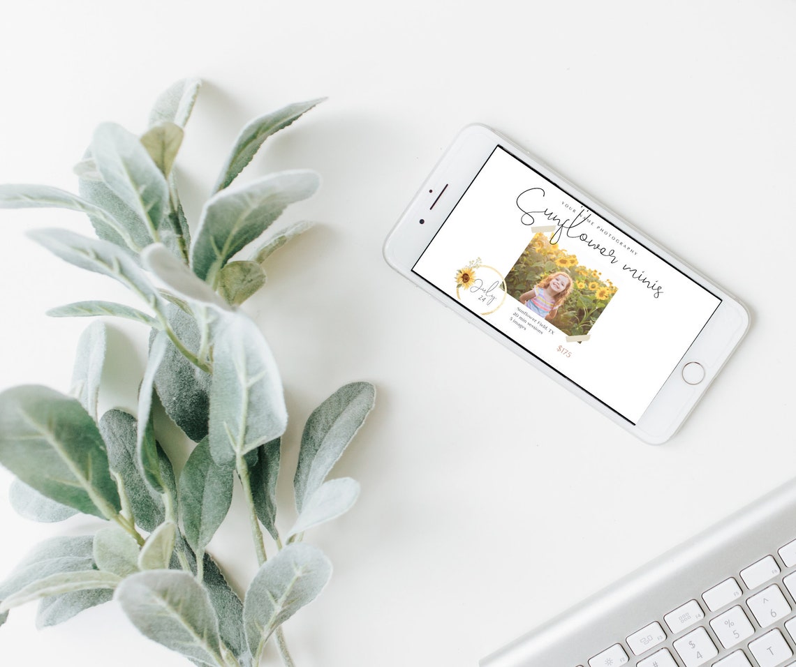 Sunflower Mini Session Template, Sunflower Minis, Photography Marketing ...