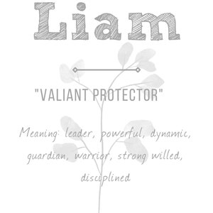 Liam Name Sign, Baby Boy Nursery Sign, Baby Names Meaning, Instant ...