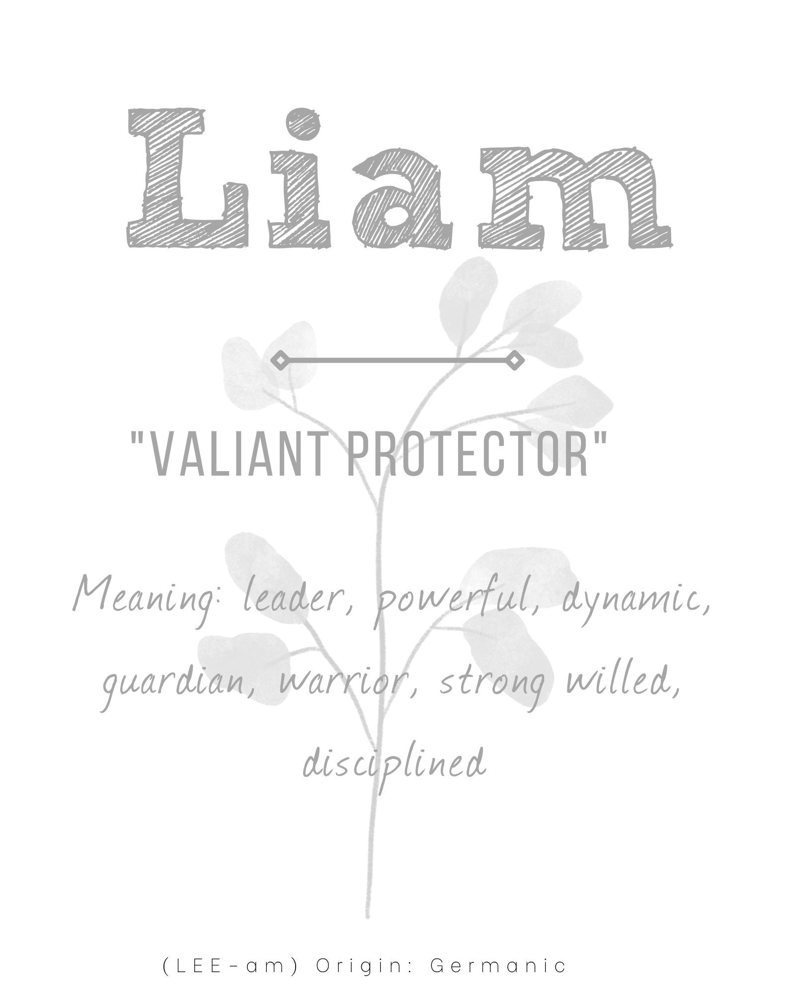 Liam Name Sign, Baby Boy Nursery Sign, Baby Names Meaning, Instant ...