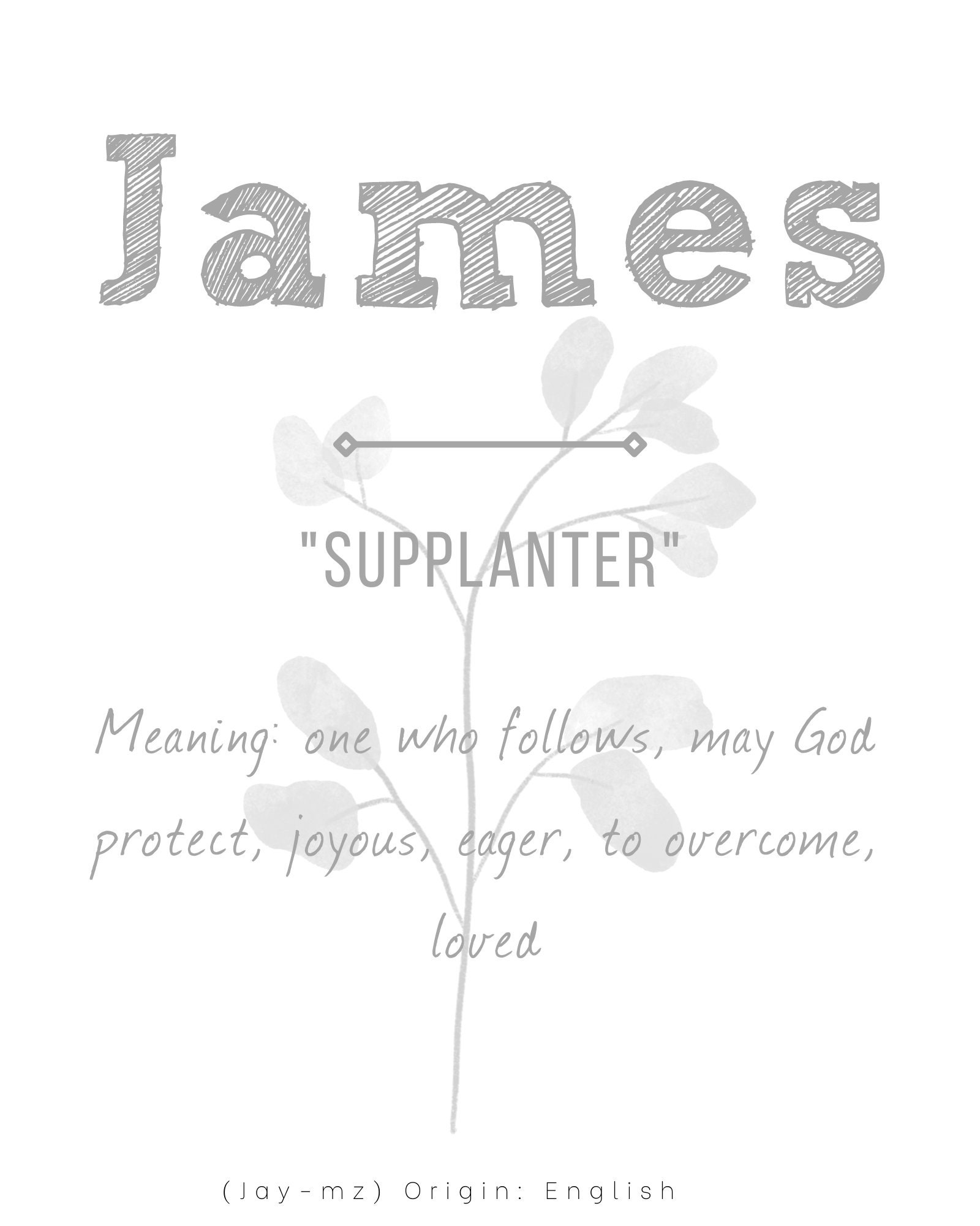 James Name Sign, Baby Boy Nursery Sign, Baby Names Meaning, Instant ...