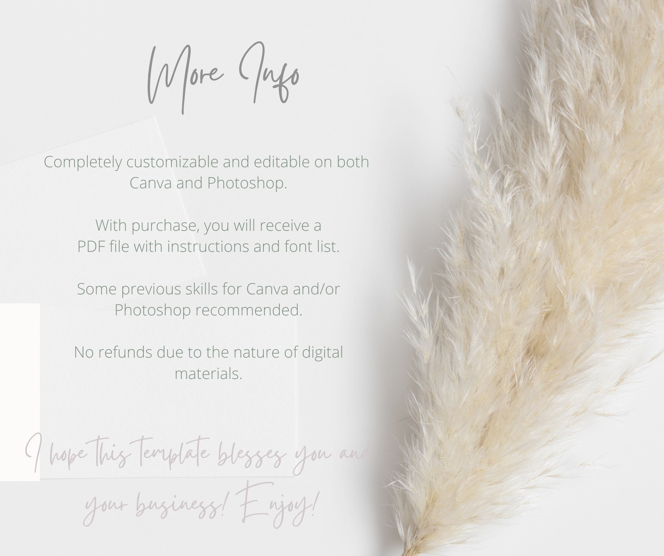 Headshot Session Template, Mini Session Template, Headshot Session ...