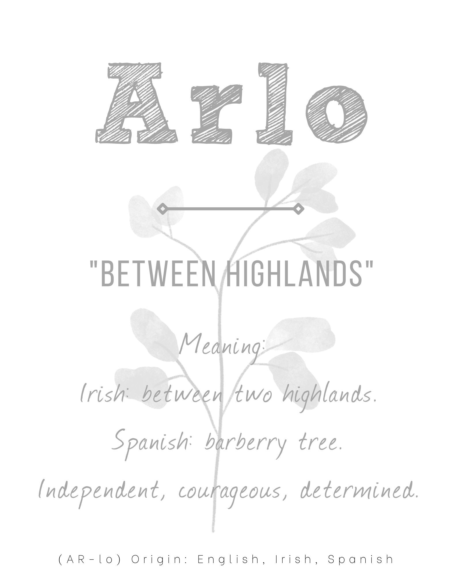 Arlo Baby Name Meaning, Nursery Sign, Boy Names Printable, Nolan Sign ...