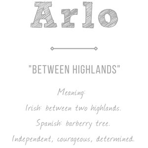 Arlo Baby Name Meaning, Nursery Sign, Boy Names Printable, Nolan Sign ...