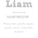 Liam Name Sign, Baby Boy Nursery Sign, Baby Names Meaning, Instant ...