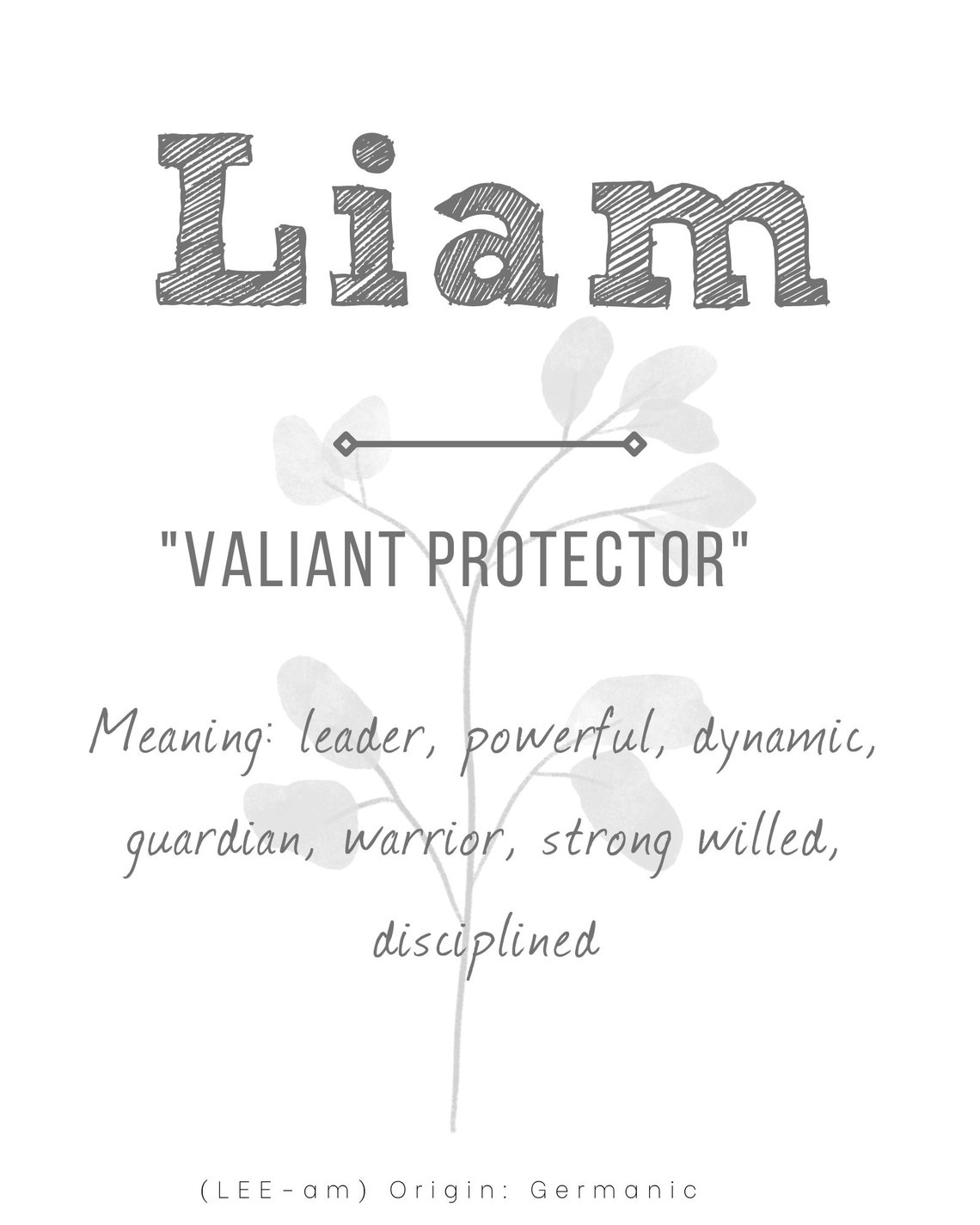 Liam Name Sign, Baby Boy Nursery Sign, Baby Names Meaning, Instant ...