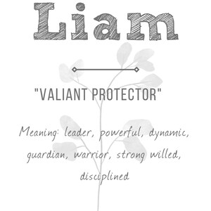 Liam Name Sign, Baby Boy Nursery Sign, Baby Names Meaning, Instant ...
