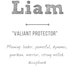 Liam Name Sign, Baby Boy Nursery Sign, Baby Names Meaning, Instant ...