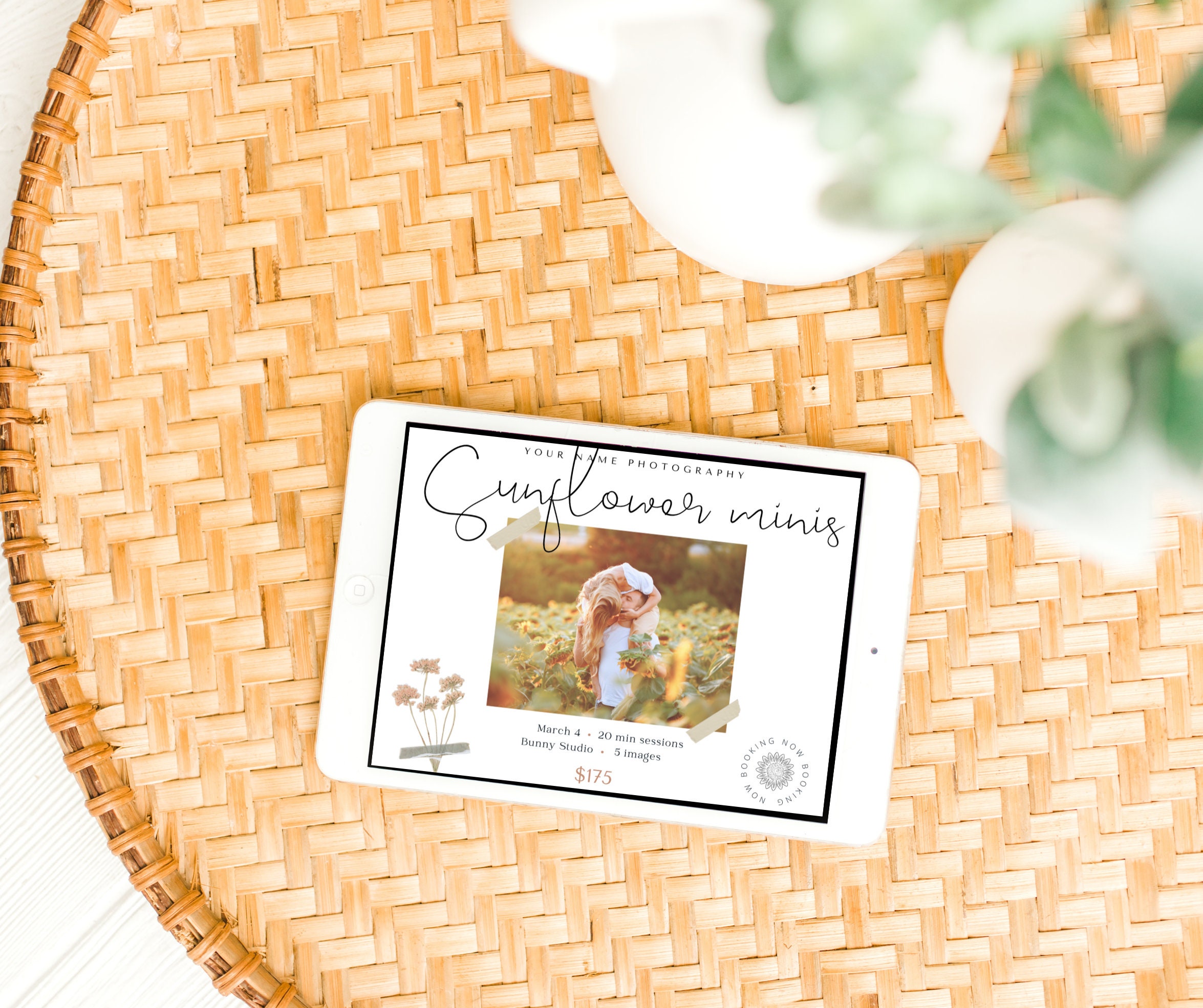 Sunflower Mini Session Template, Sunflower Mini, Summer Mini Session ...