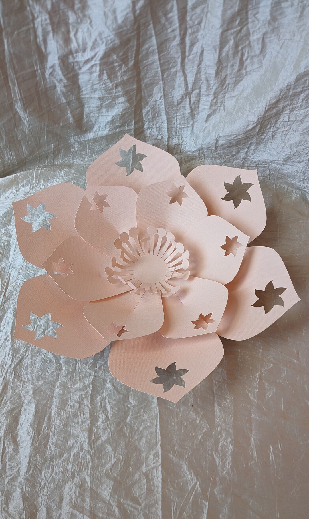 DIY Kit Flower Big Paper Flower Flower for Fairy Wedding Mother Day ...