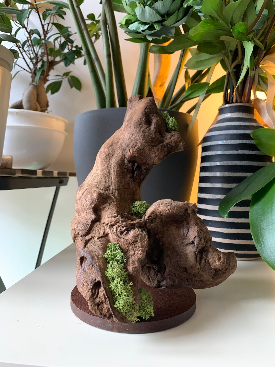 Stabilized Plant Sculptures: Lichen and Wood, Art Without Complications ...