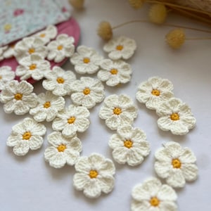 Mini Daisy Crochet Flower Set of 25, Handmade Crochet Flowers for Your ...