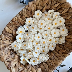 Mini Daisy Crochet Flower Set of 25, Handmade Crochet Flowers for Your ...