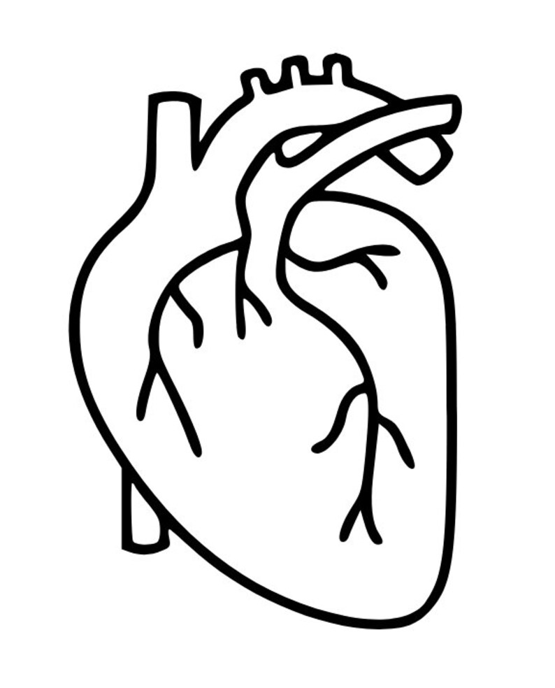 Human Heart SVG - Etsy