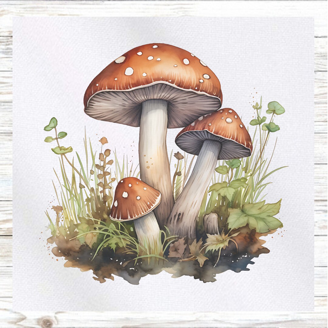 Mushrooms Fabric Panel - Woodsy Fabric Panel - Quilt Panel - Quilting ...