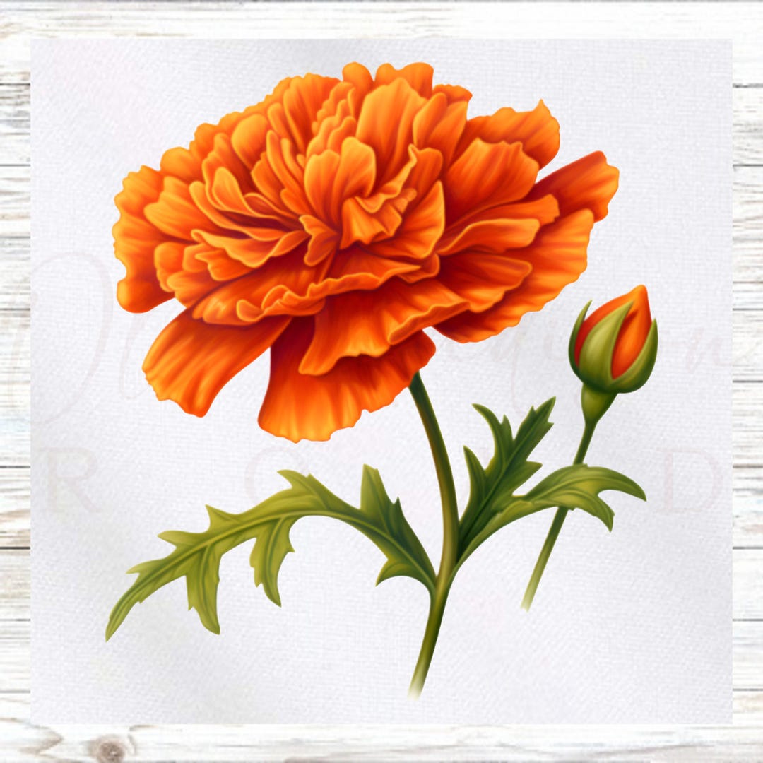 Spring Flowers Fabric Panel - Marigolds Fabric Panel - Quilt Panel ...