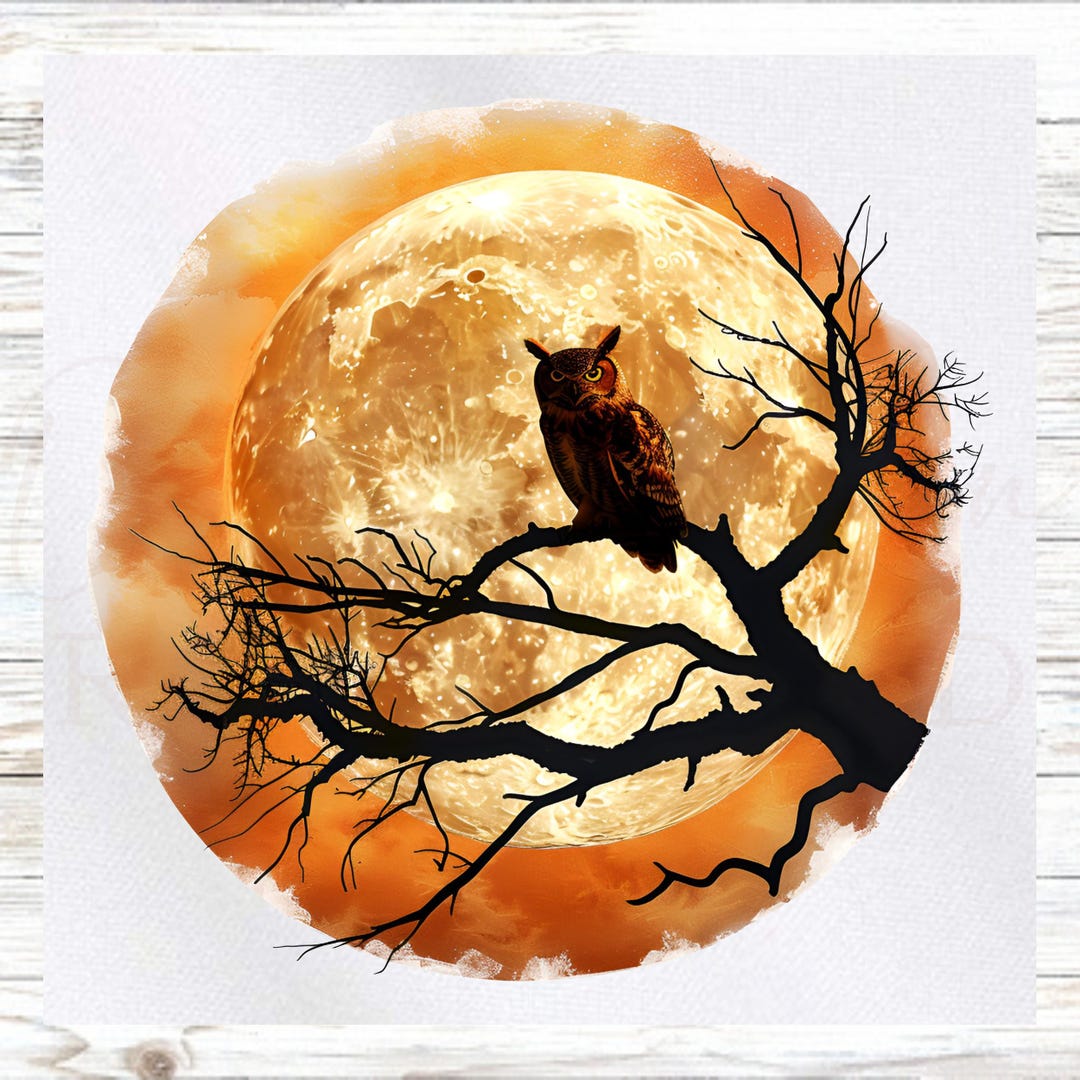 Halloween Fabric Panel - Moon Fabric Panel - Quilt Panel - Quilting ...