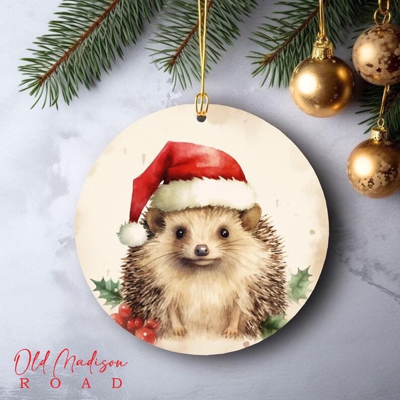 Christmas Ornament Set - Hedgehogs Ornament Set - Set of 8 Christmas ...