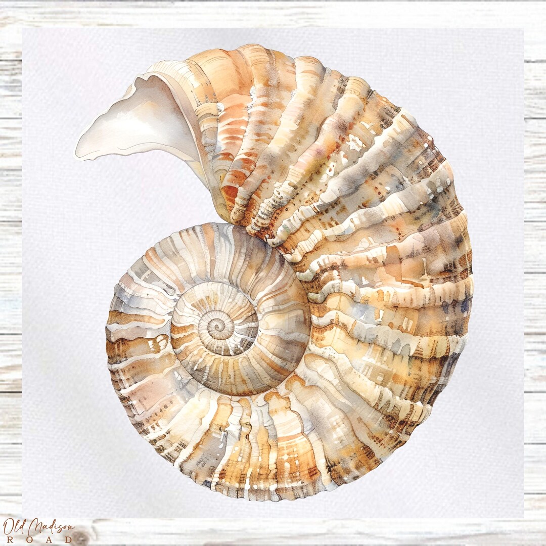 Ocean Themed Fabric Panel - Seashell Fabric Panel- Quilt Panel ...