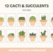 Cactus Classroom Birthday Display: Succulent Plants (digital Download ...