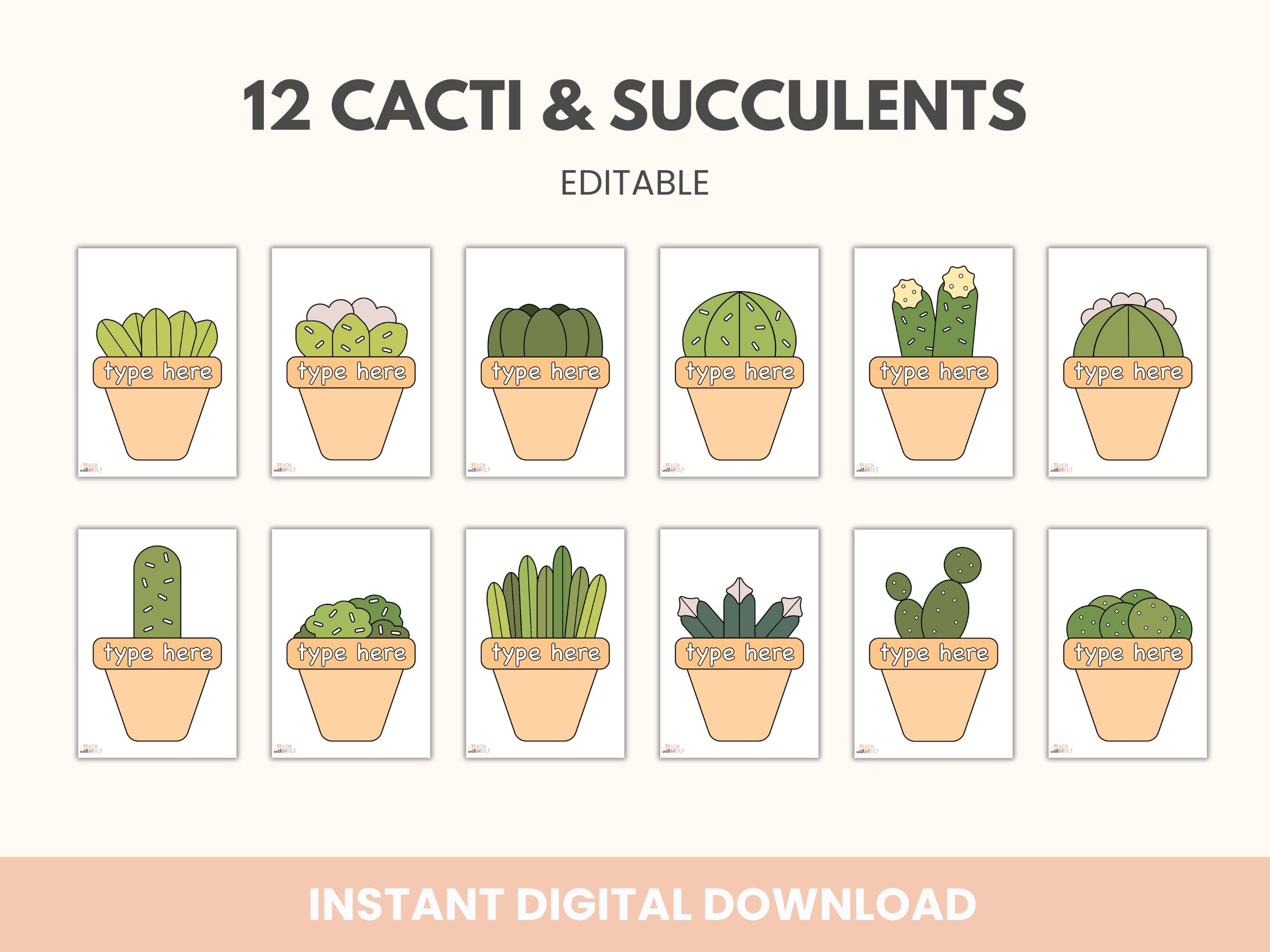 Cactus Classroom Birthday Display: Succulent Plants (digital Download ...