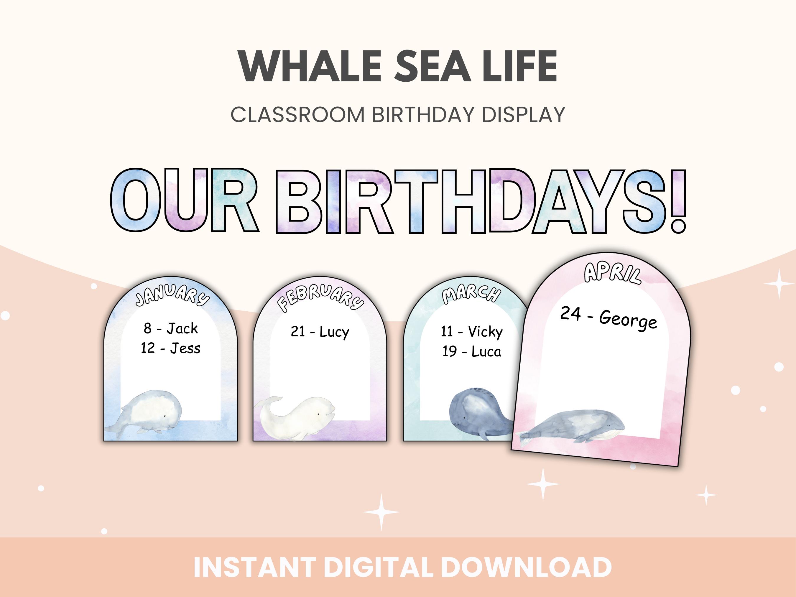 Classroom Birthday Bulletin Board: Watercolor Ocean Theme (digital ...