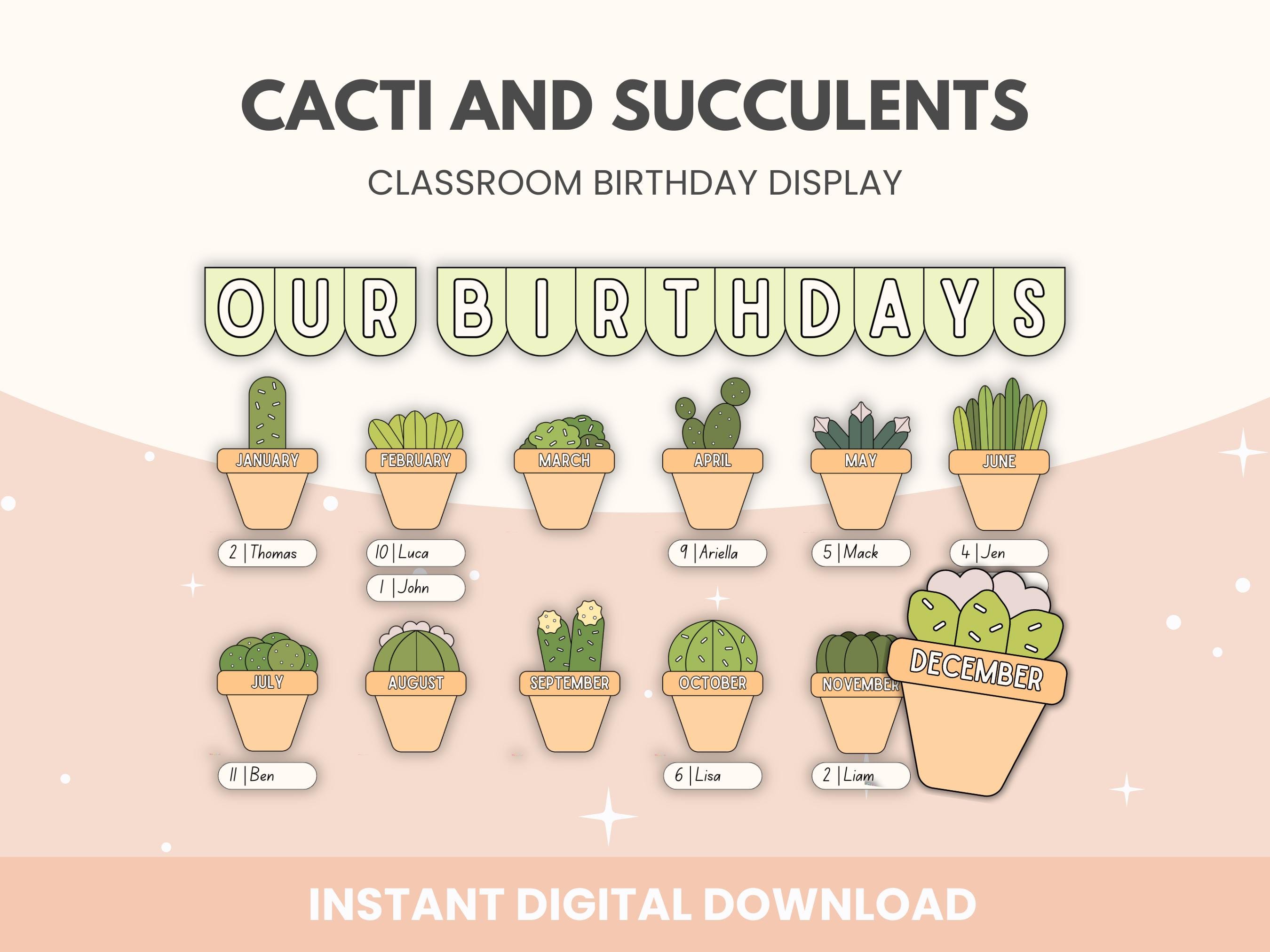 Cactus Classroom Birthday Display: Succulent Plants (digital Download ...