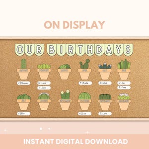 Cactus Classroom Birthday Display: Succulent Plants (digital Download ...