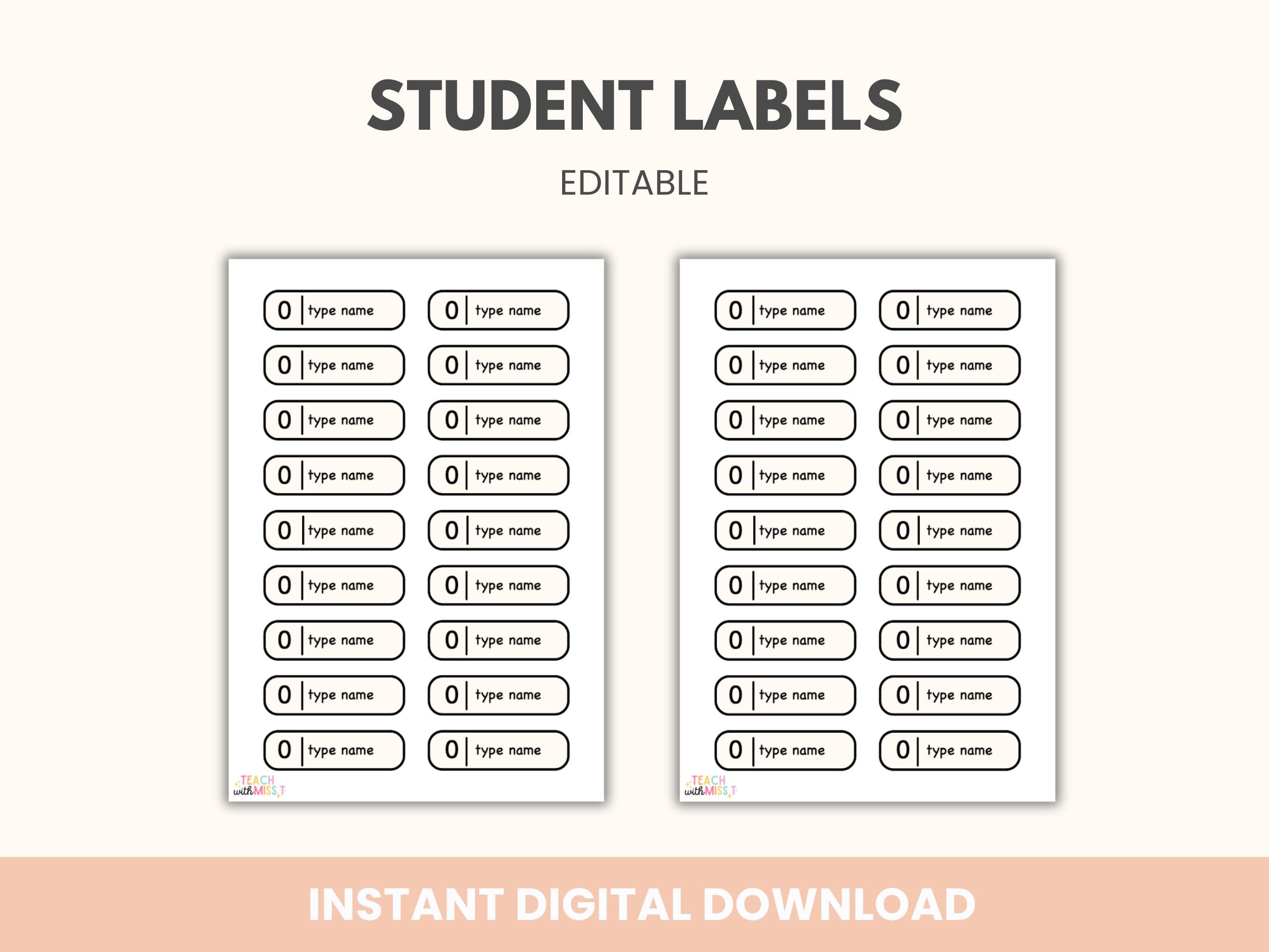 Cactus Classroom Birthday Display: Succulent Plants (digital Download ...